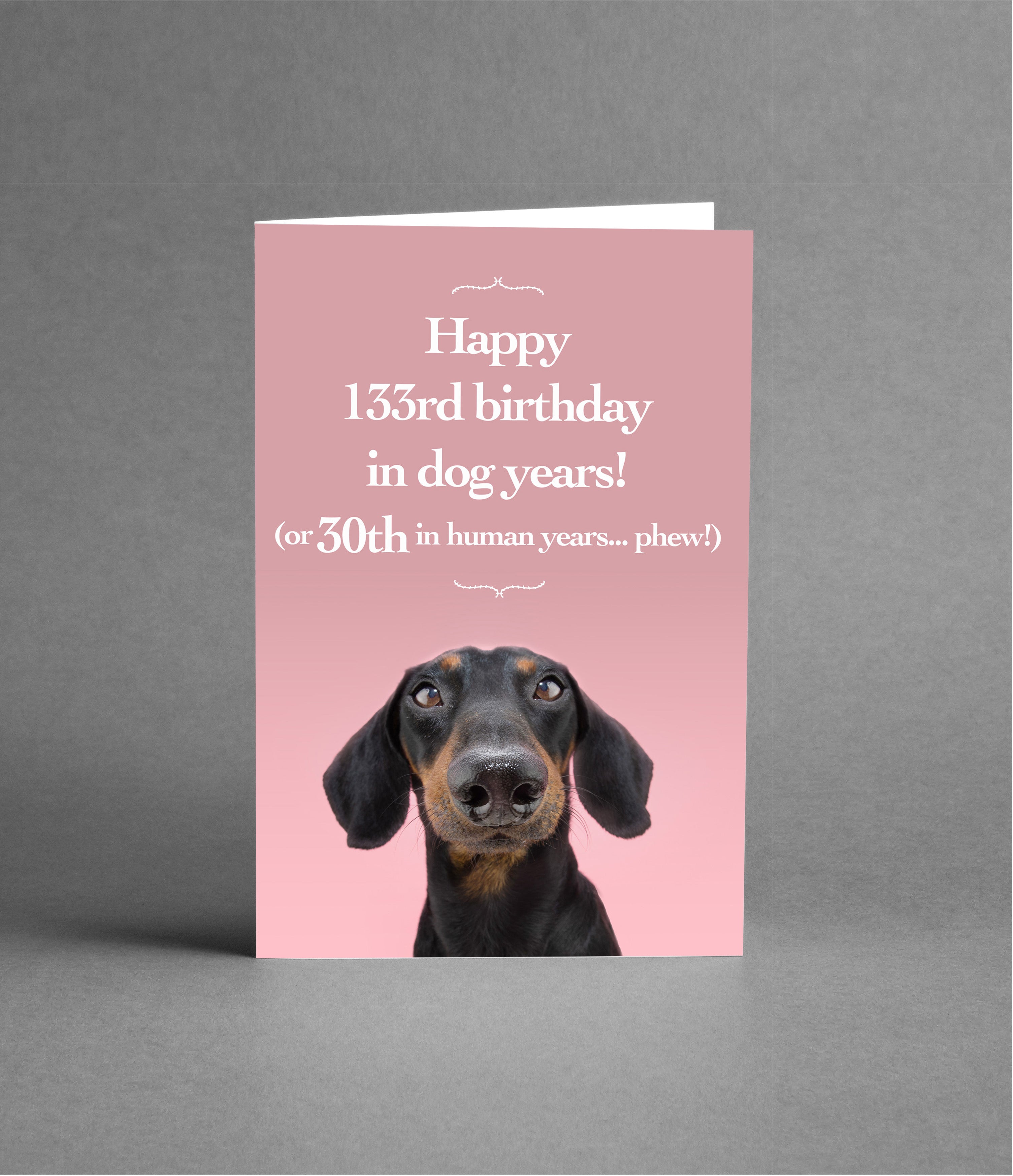Happy 30th Birthday in Dog Years – Paw Print Press