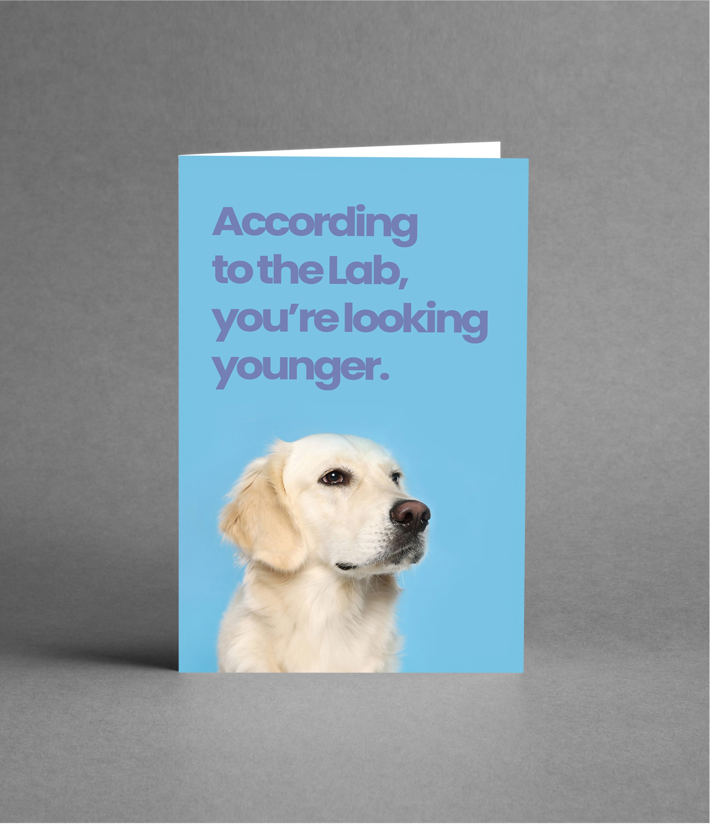 Happy Birthday from The Lab – Paw Print Press
