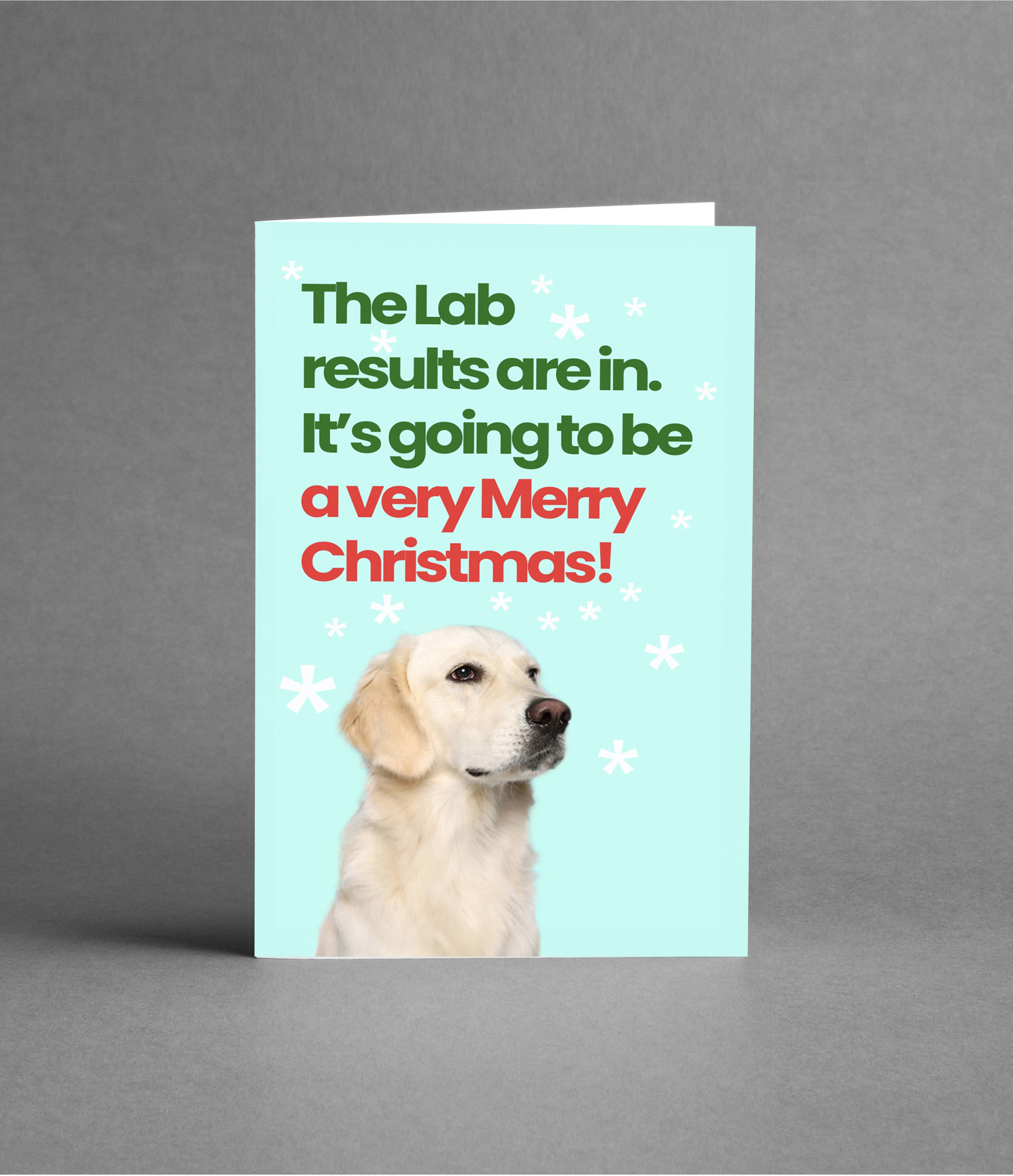 Merry Christmas from The Lab – Paw Print Press